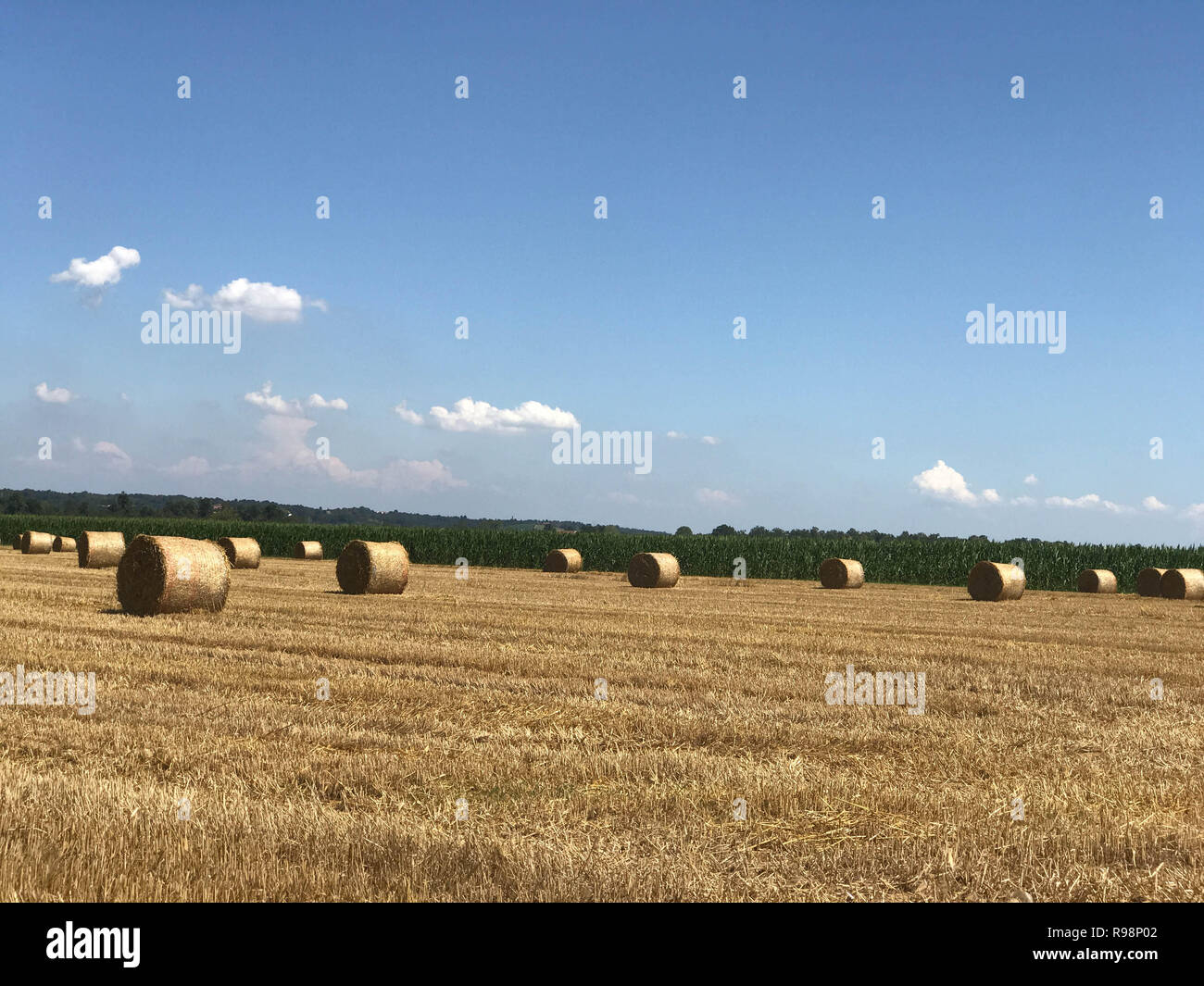 Country landscape with hay bales Stock Photo - Alamy
