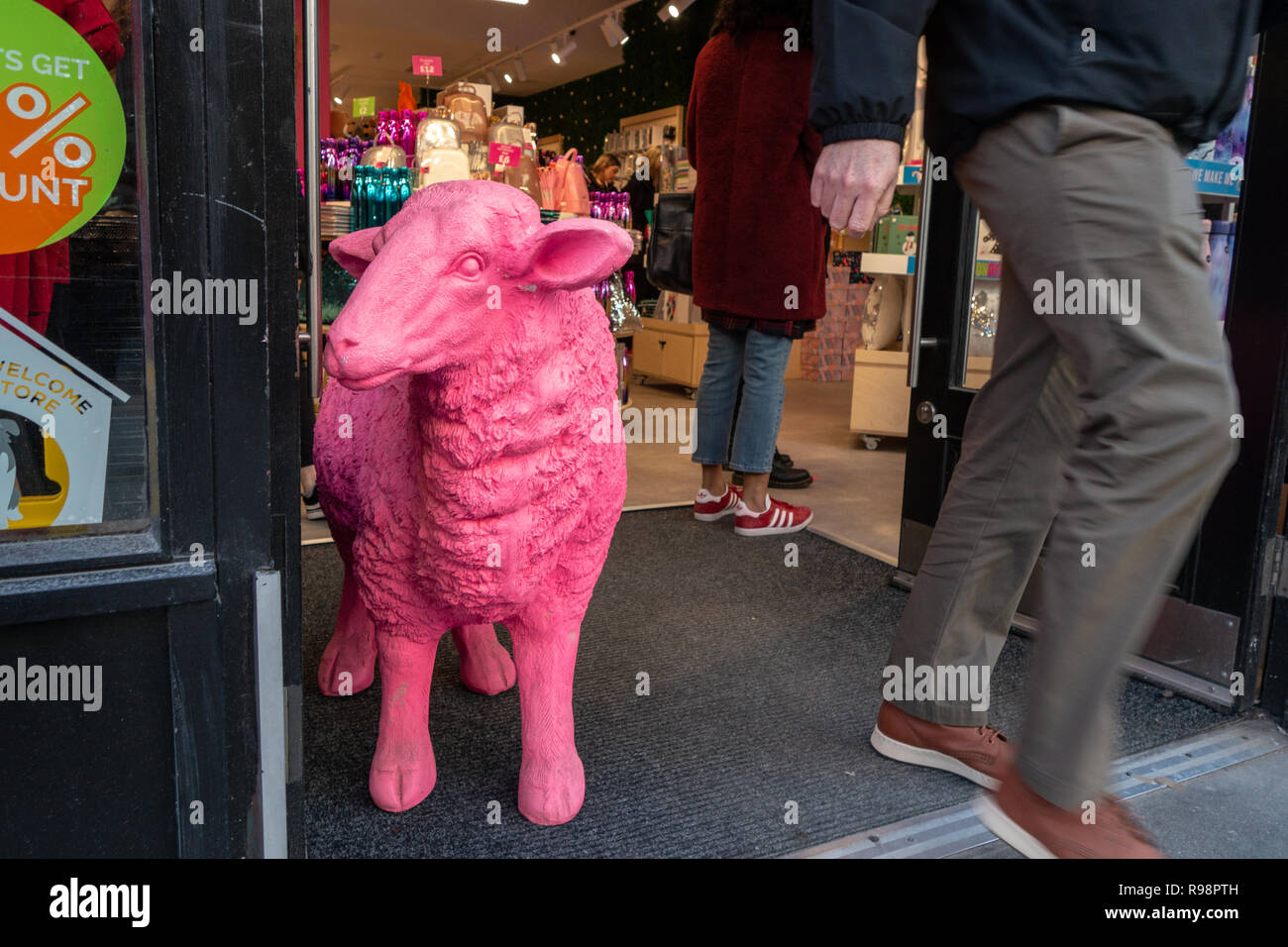 A large Pink Sheep in the shop doorway of a shop called Neon Sheep on ...