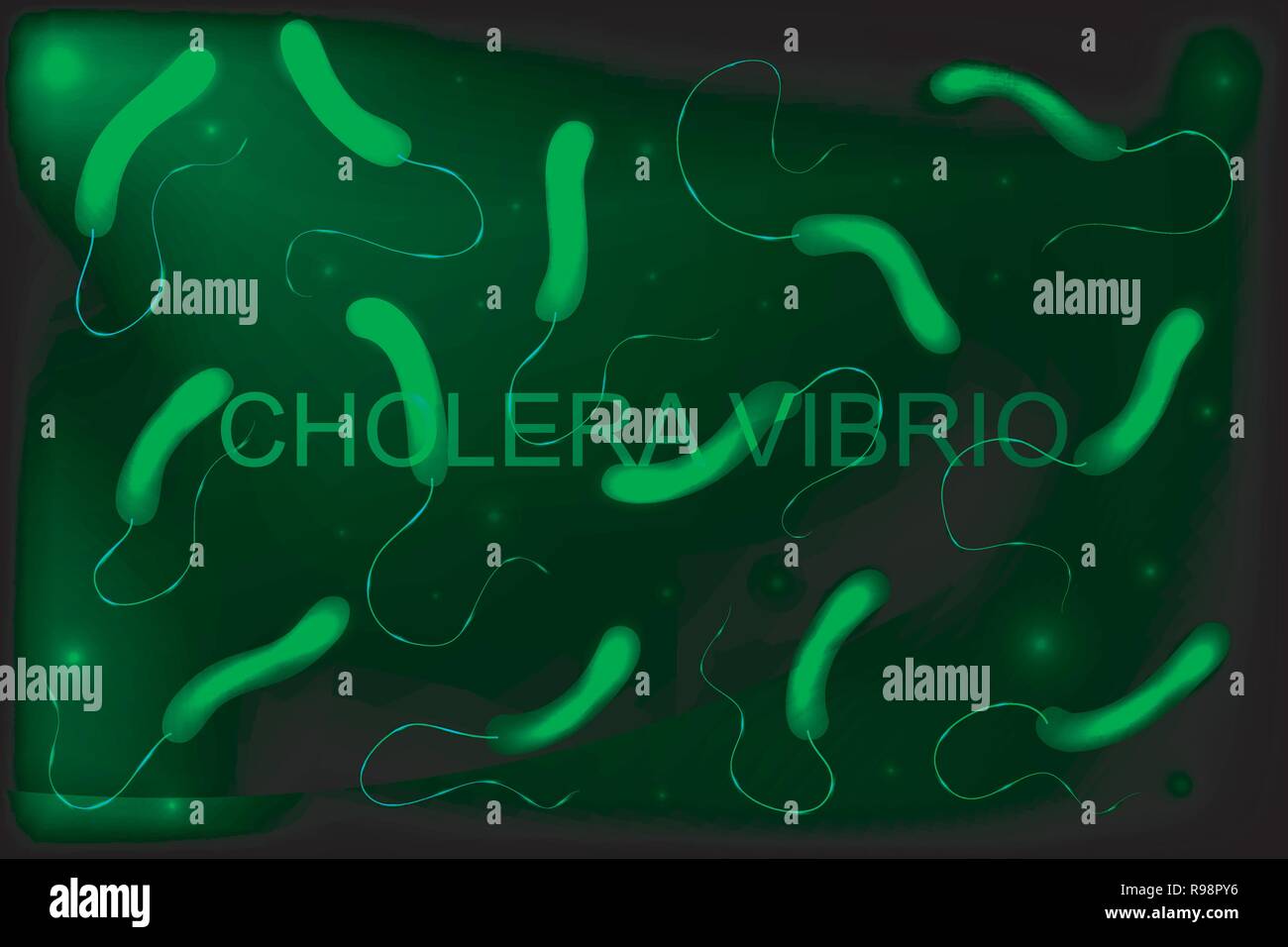 Cholera bacillus hi-res stock photography and images - Alamy