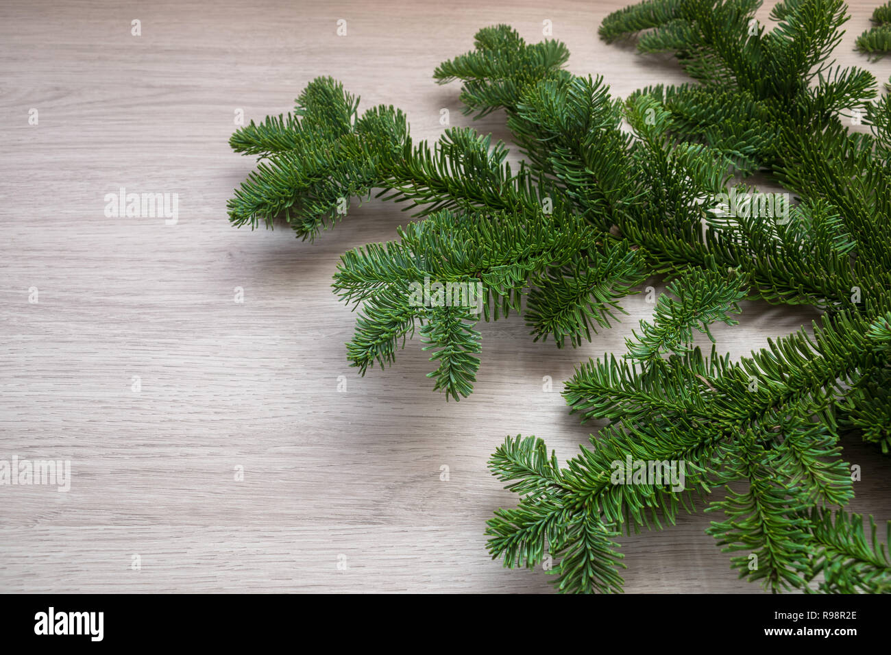 Fir branch coniferous forest on hi-res stock photography and images - Alamy