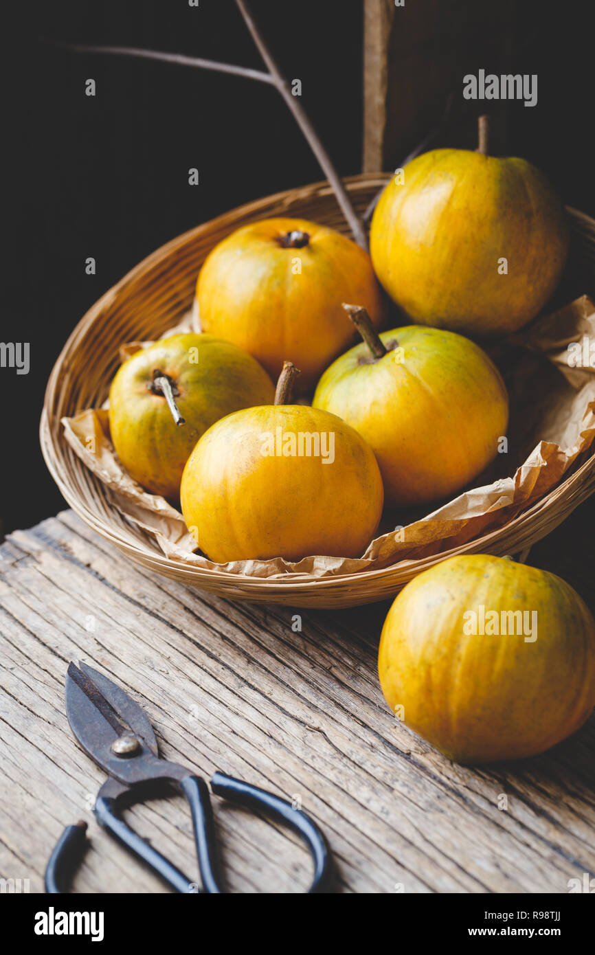 Lucuma fruits- Eggfruits Stock Photo - Alamy