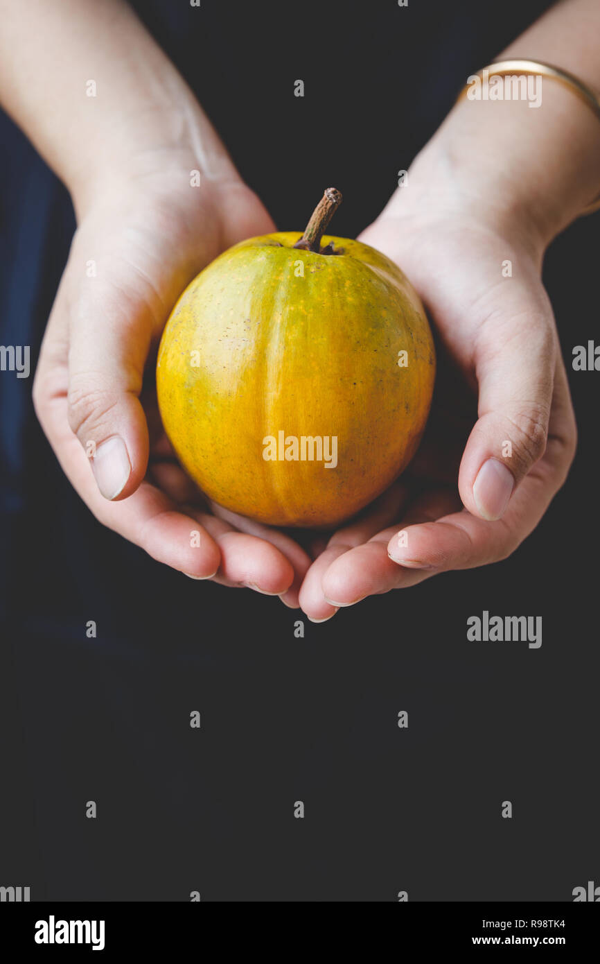 Lucuma tree hi-res stock photography and images - Alamy