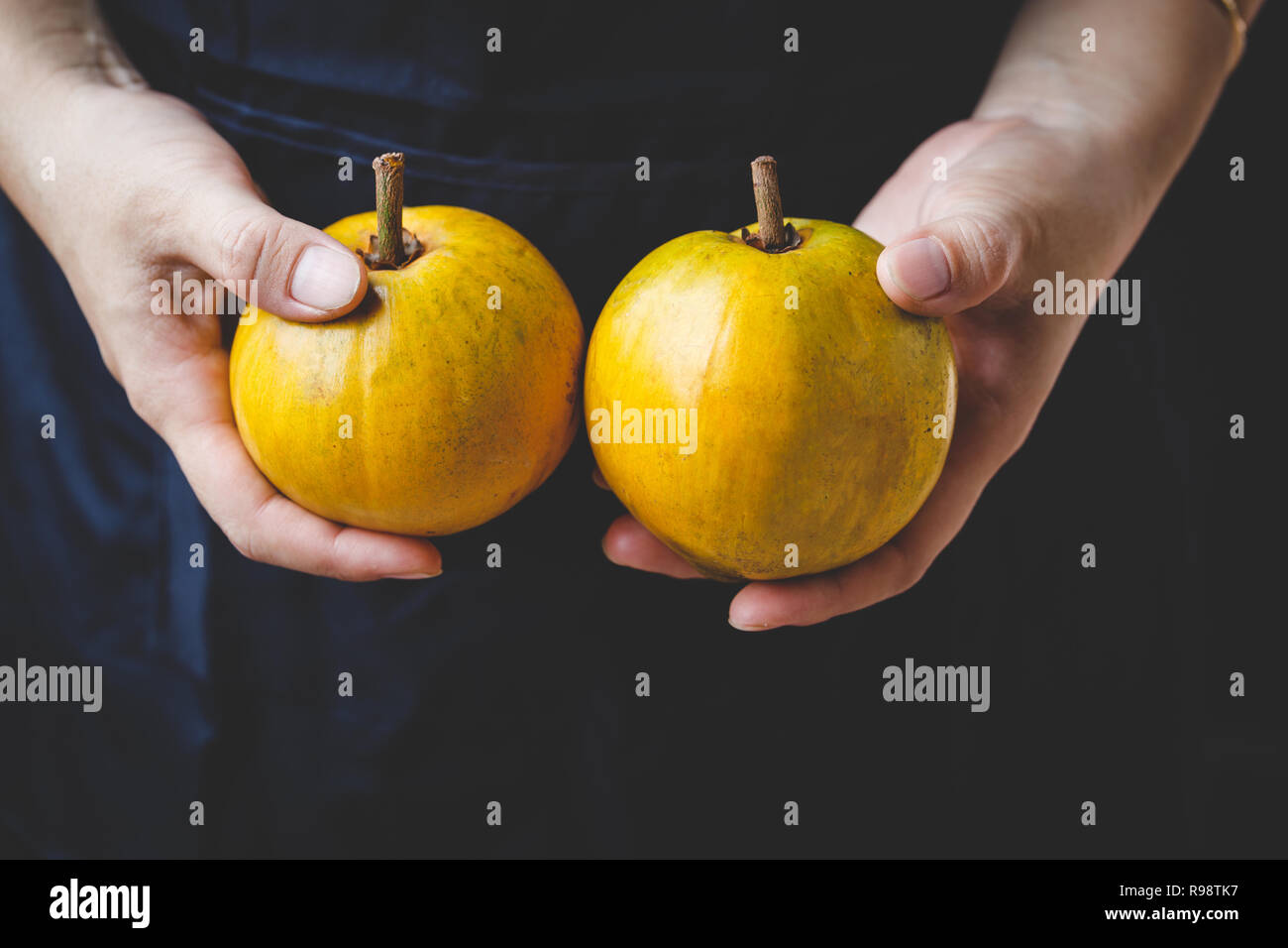 Lucuma tree hi-res stock photography and images - Alamy