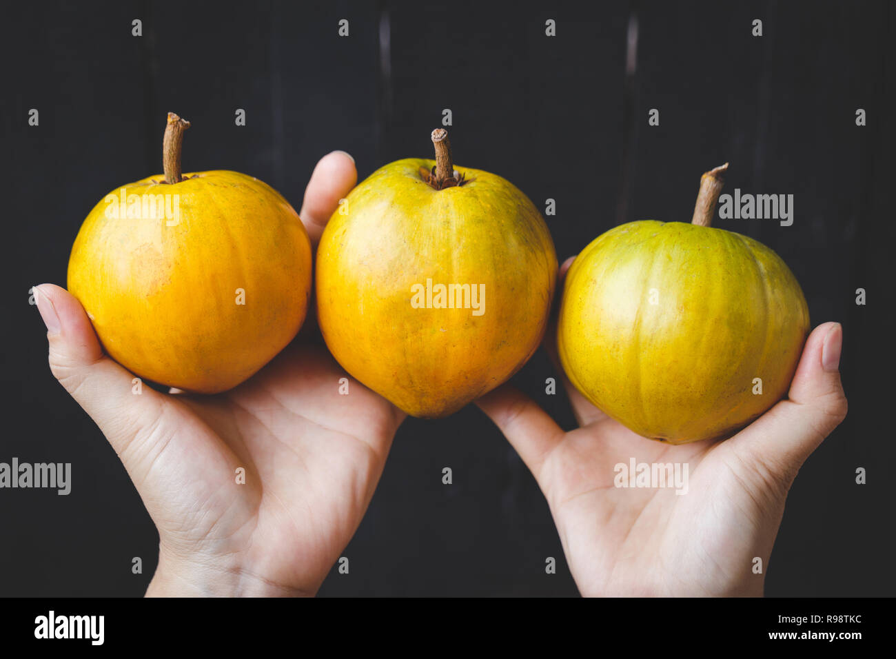 Lucuma tree hi-res stock photography and images - Alamy