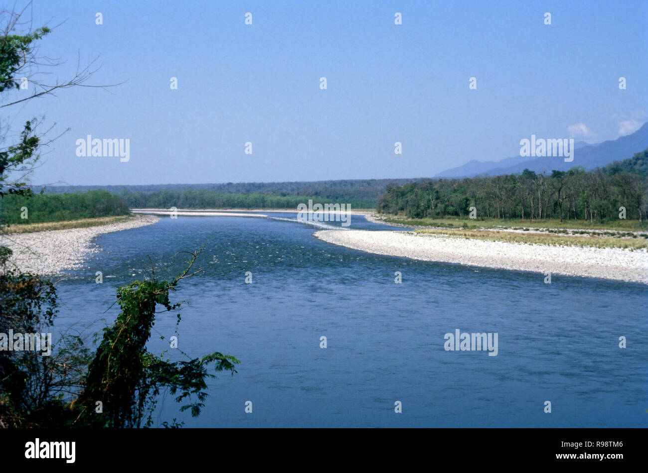 Manas India National Park High Resolution Stock Photography and Images ...