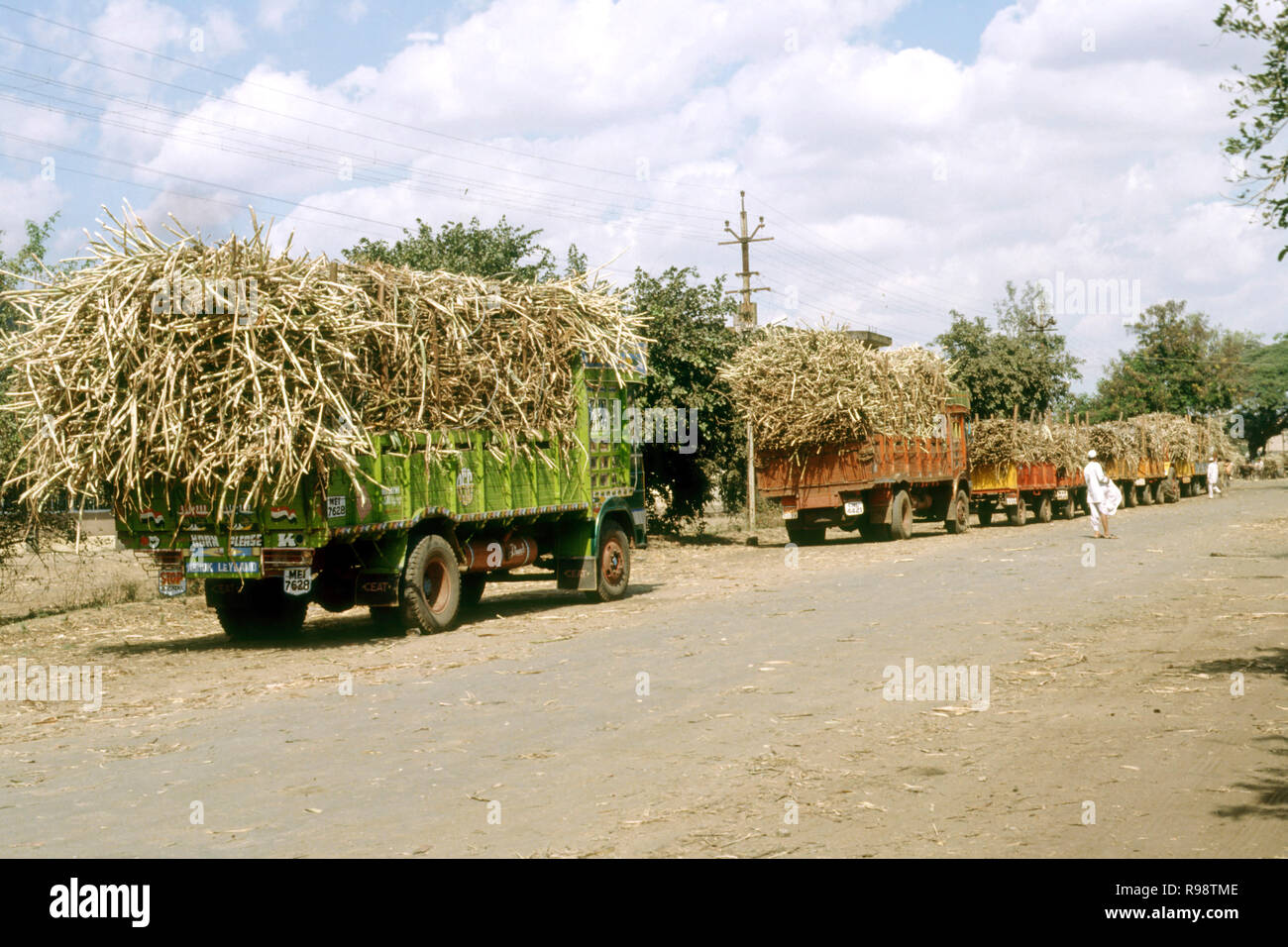 India Sugar Canes High Resolution Stock Photography and Images - Alamy