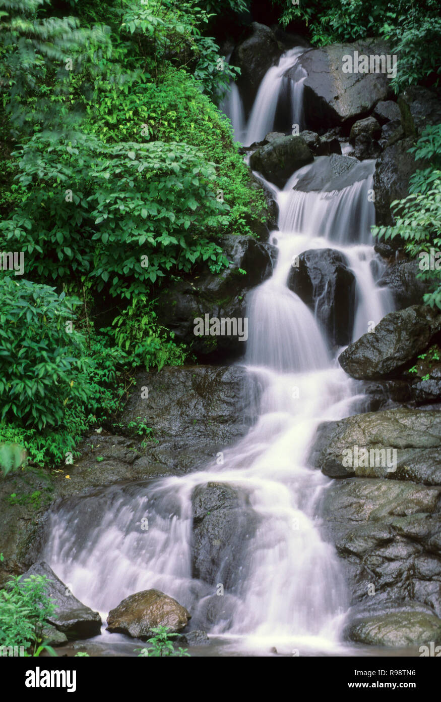 Waterfall, Lonavala, Maharashtra, India Stock Photo - Alamy