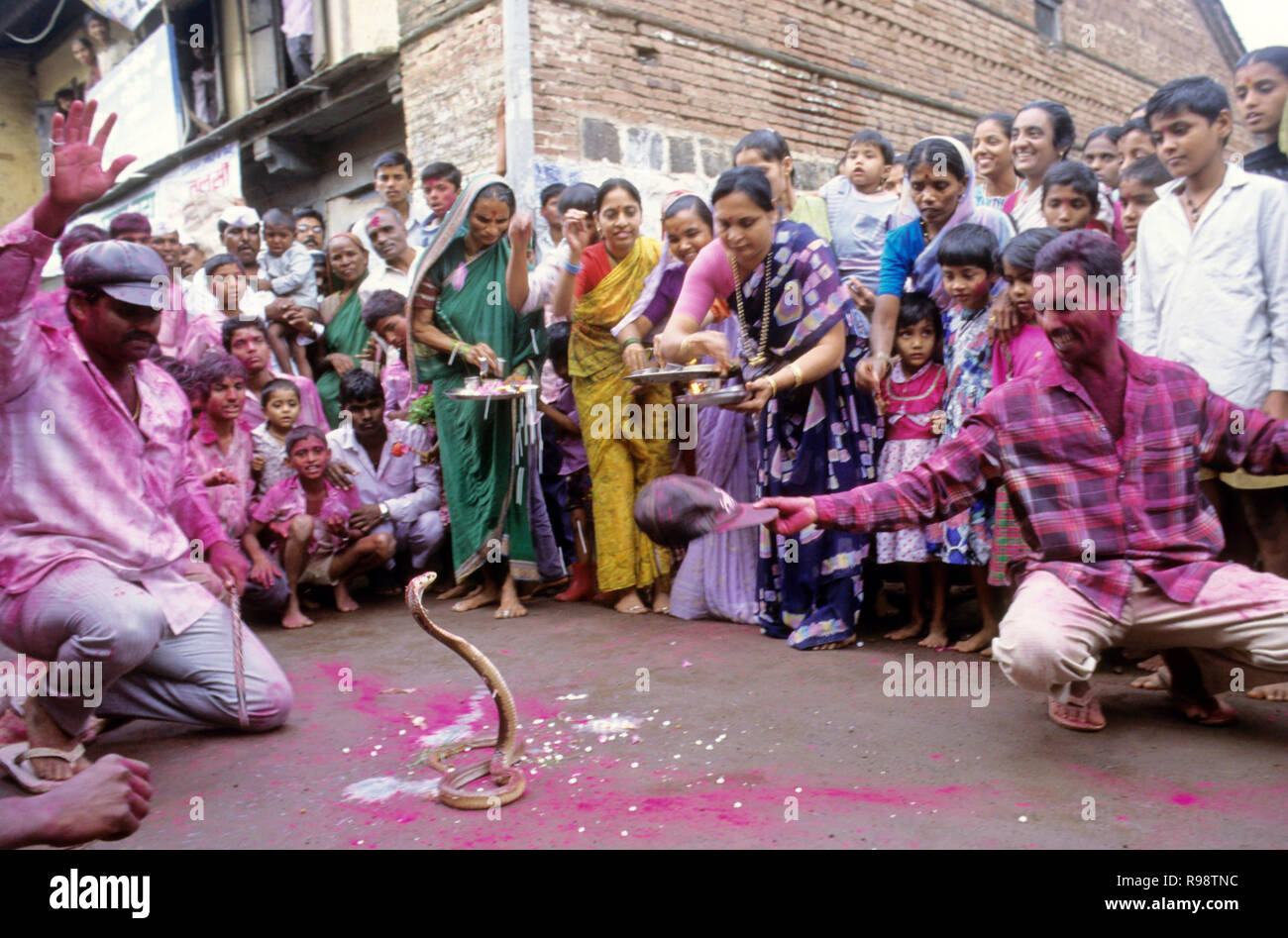 Cobra snake festival, Battis Shirala, Maharashtra, India Stock Photo ...