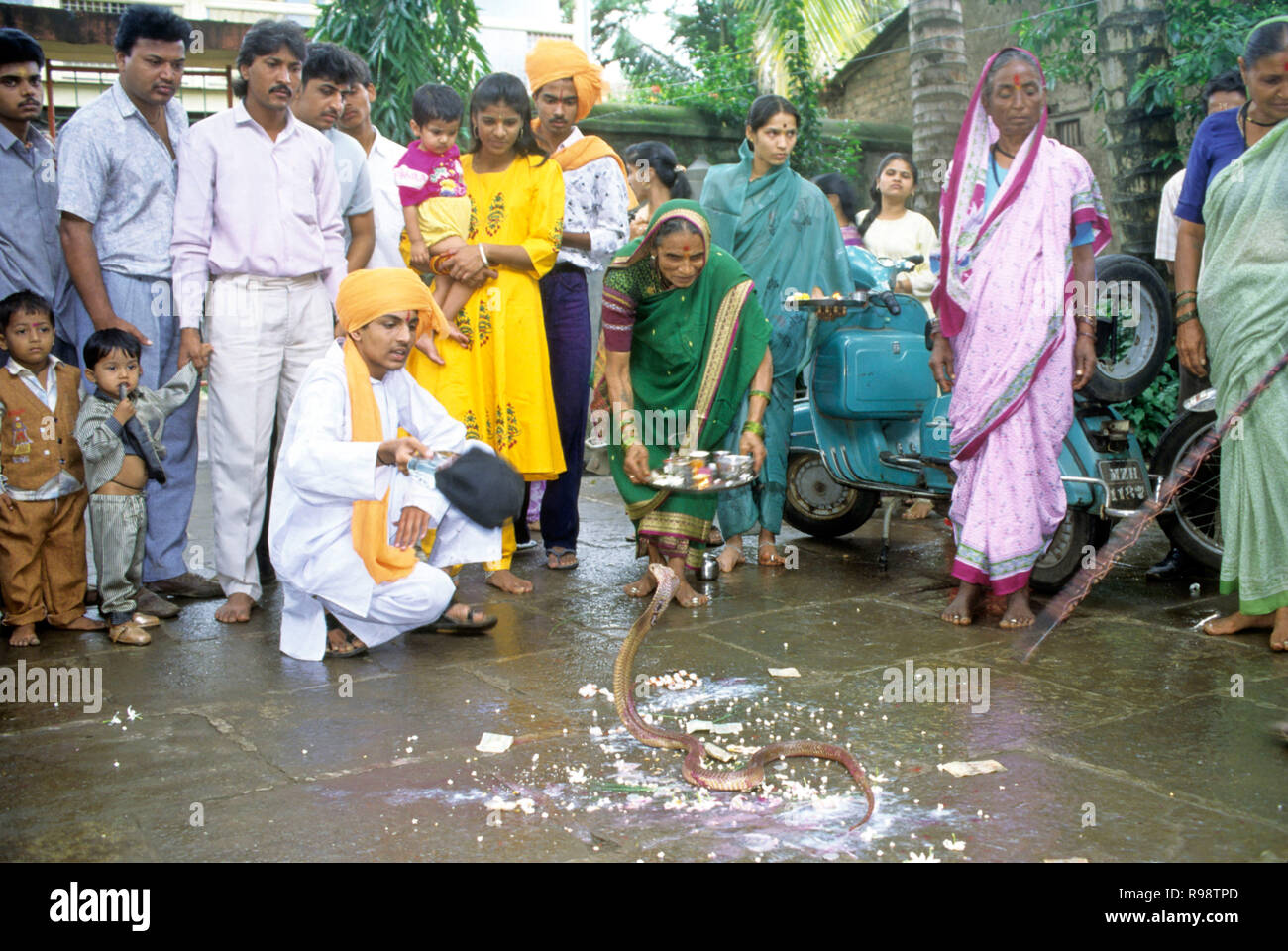 Cobra snake worship festival, Nagpanchami, Battis Shirala, Maharashtra ...