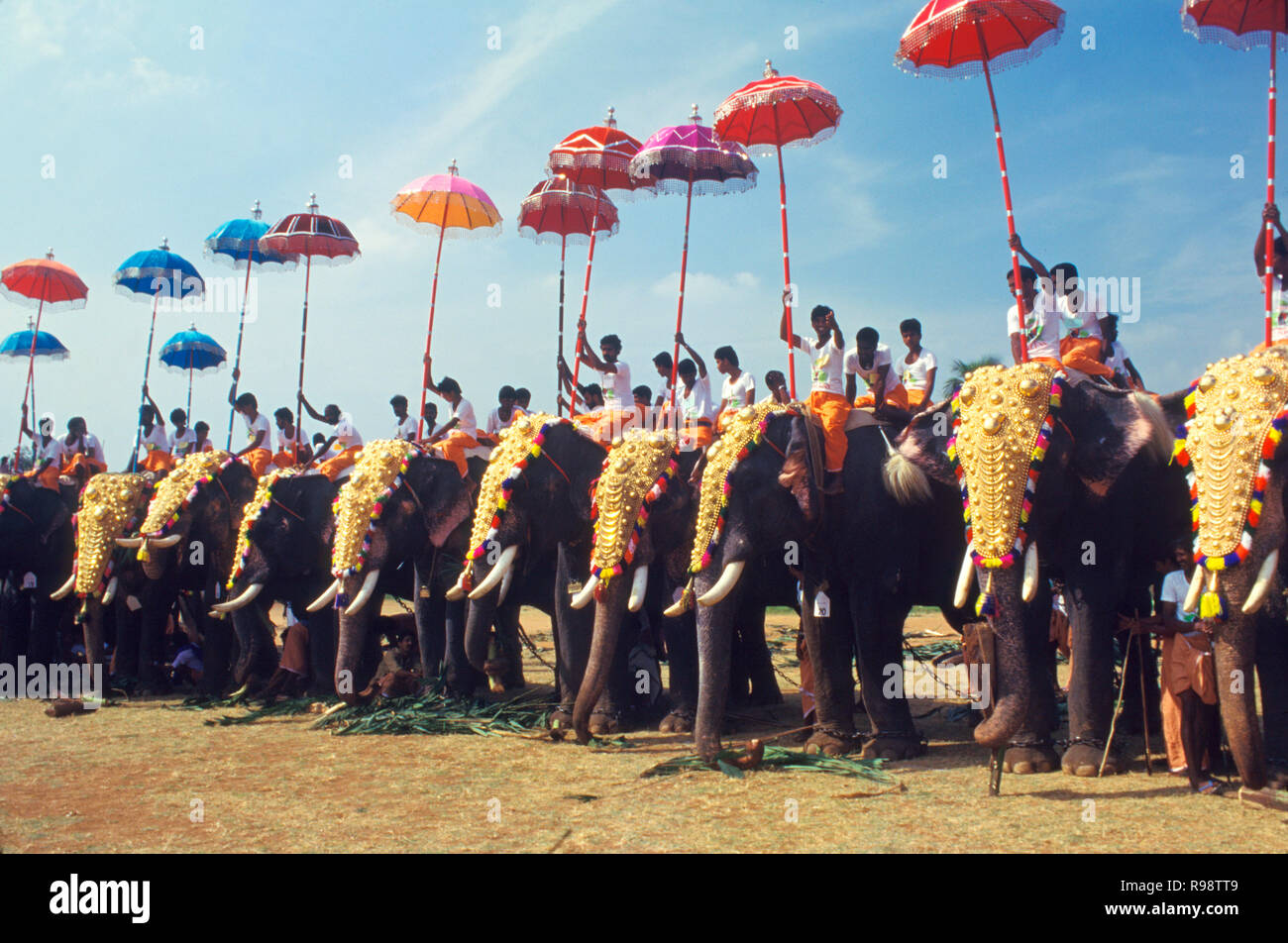Pooram Festival, Trichur, Kerala, India Stock Photo - Alamy