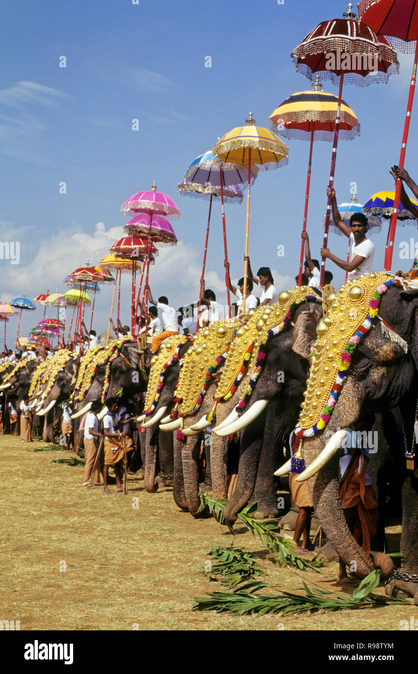 Trichurpooram pooram, Elephant March Festival, Kerala, india Stock ...