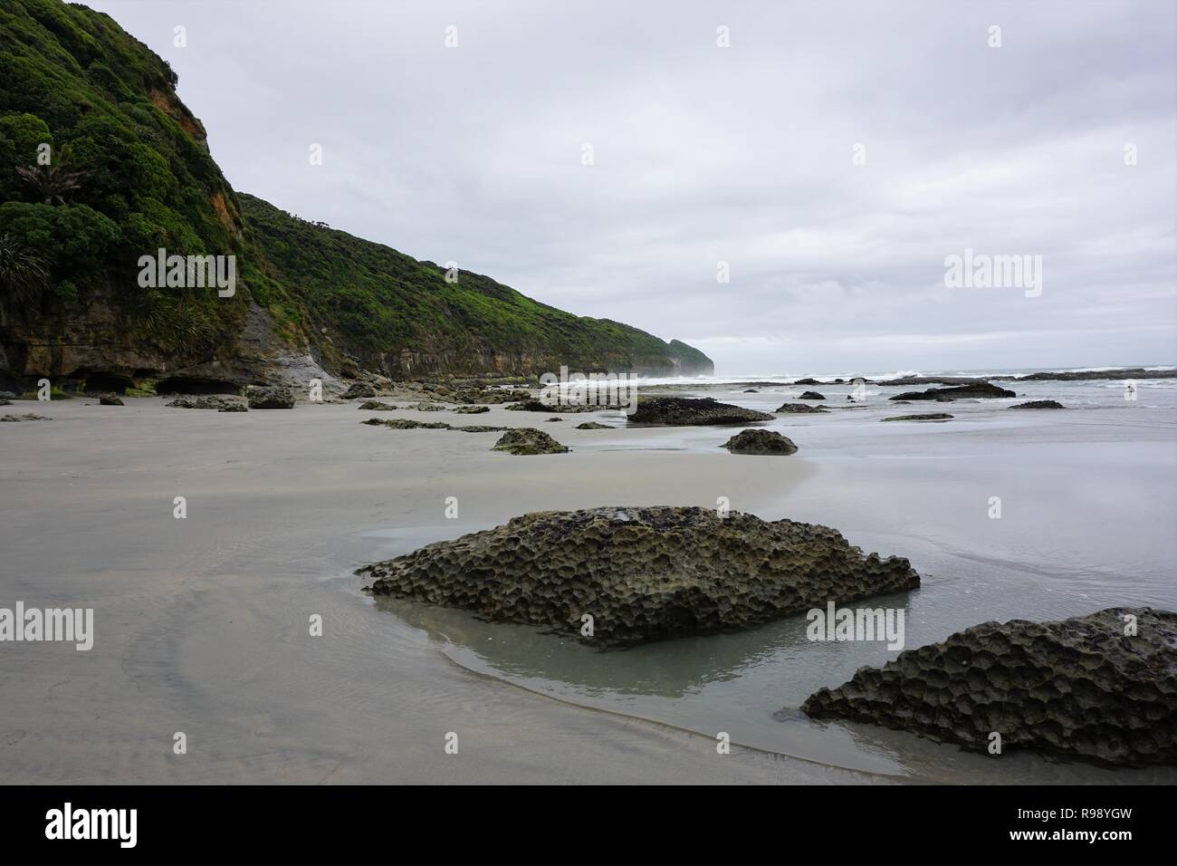 Rugged Coastal Landscape at Fossil Point on Farewell Spit, South Island ...