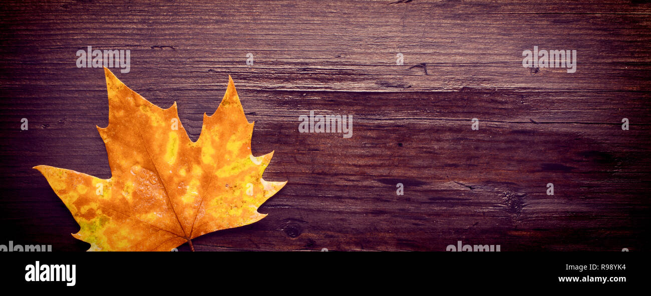 Dead leaves on wooden bench, banner and background for foliage and ...