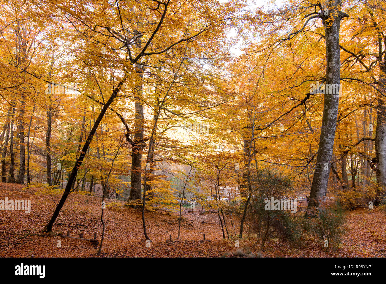 Cimini mountains hi-res stock photography and images - Alamy
