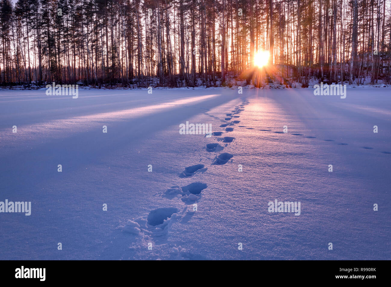 Trail of footprints behind them hi-res stock photography and images - Alamy