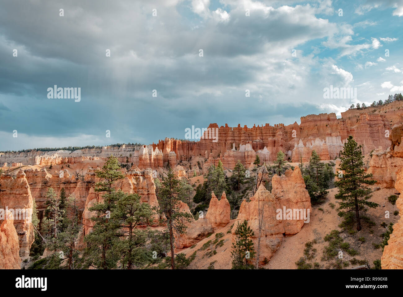 Spire shaped rock formations known as hoodoos at Bryce Canyon National ...
