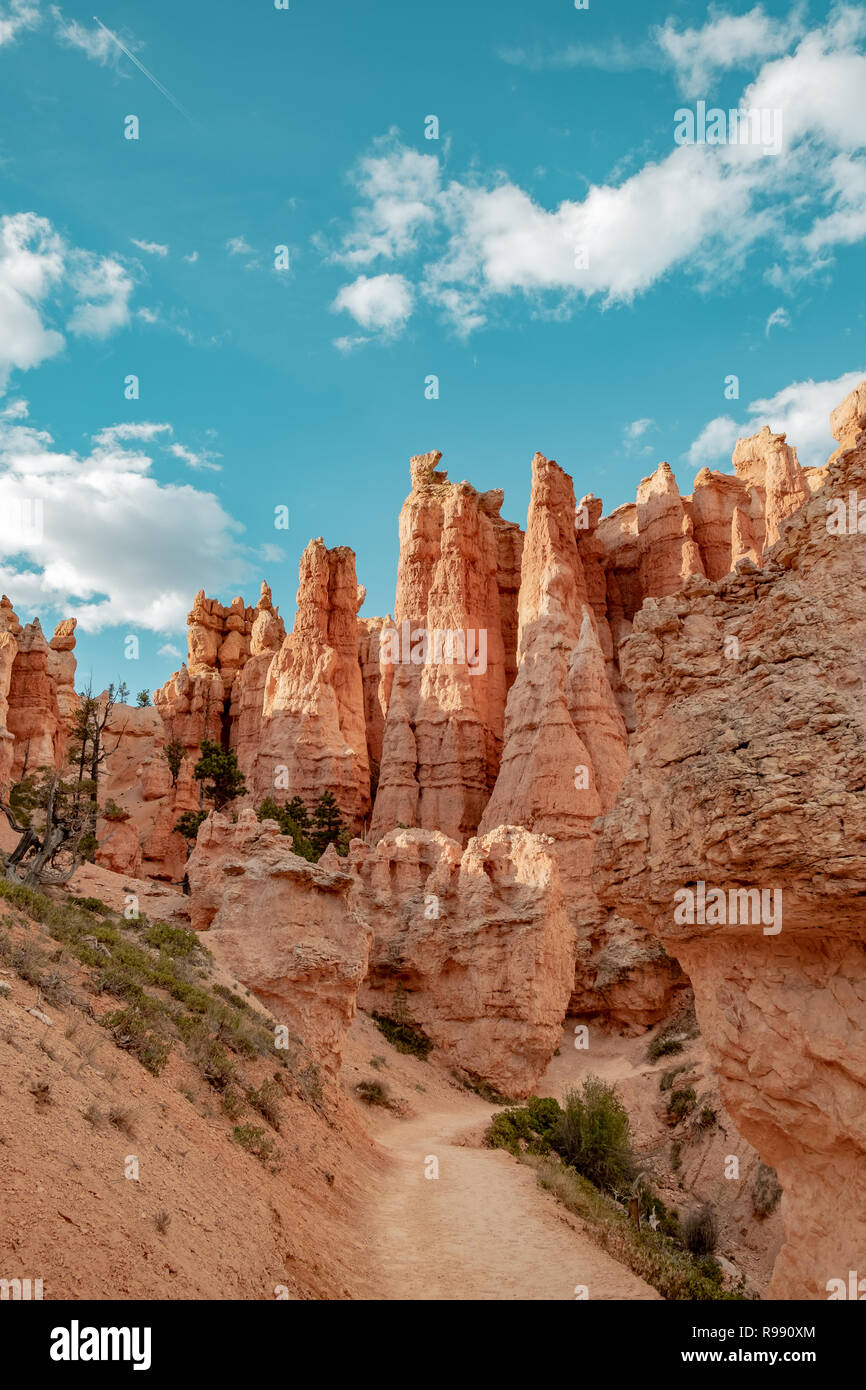 Spire shaped rock formations known as hoodoos at Bryce Canyon National ...