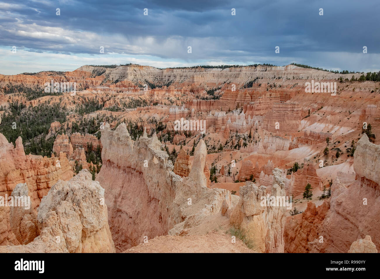 Spire shaped rock formations known as hoodoos at Bryce Canyon National ...
