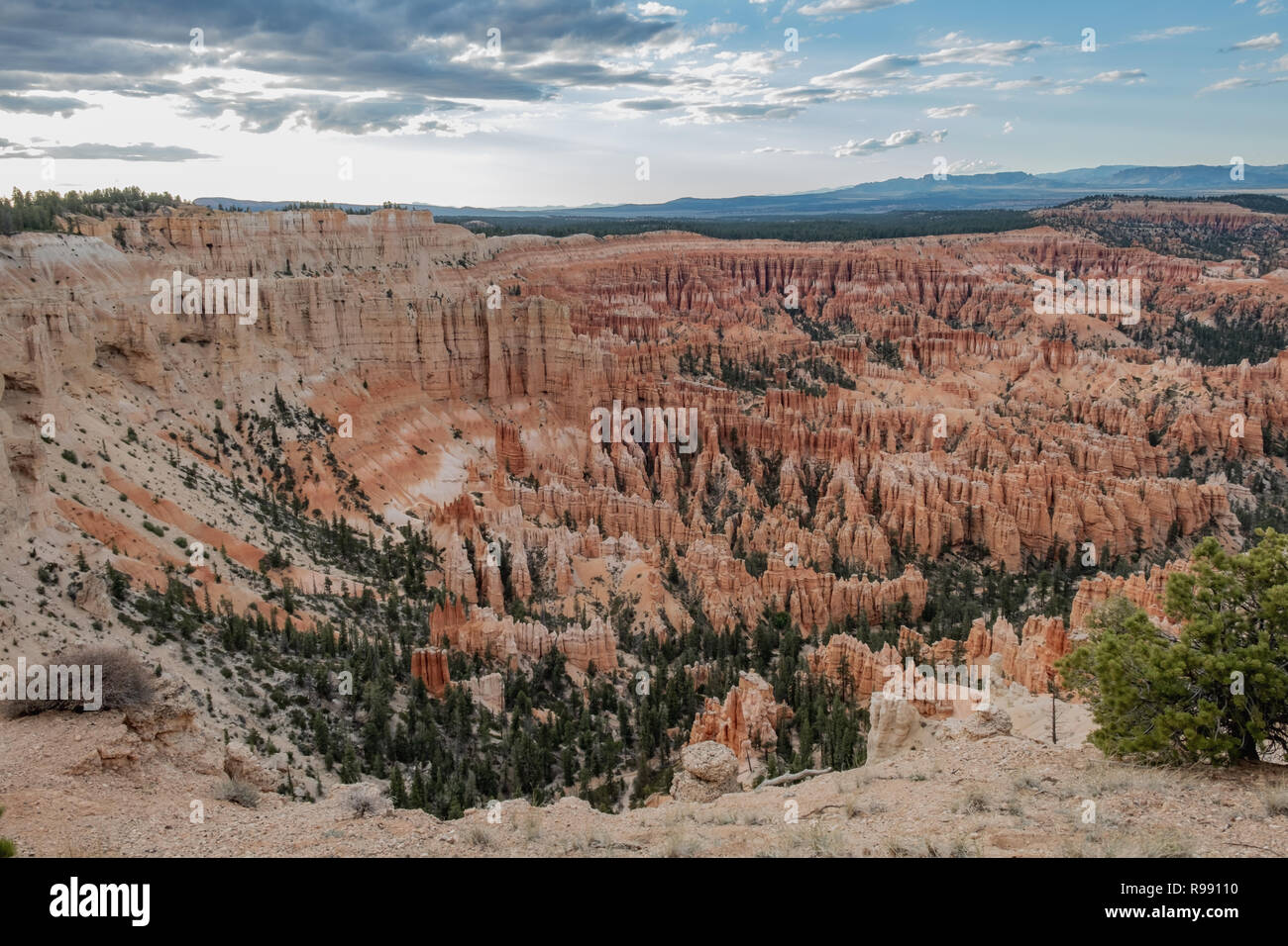 Spire shaped rock formations known as hoodoos at Bryce Canyon National ...