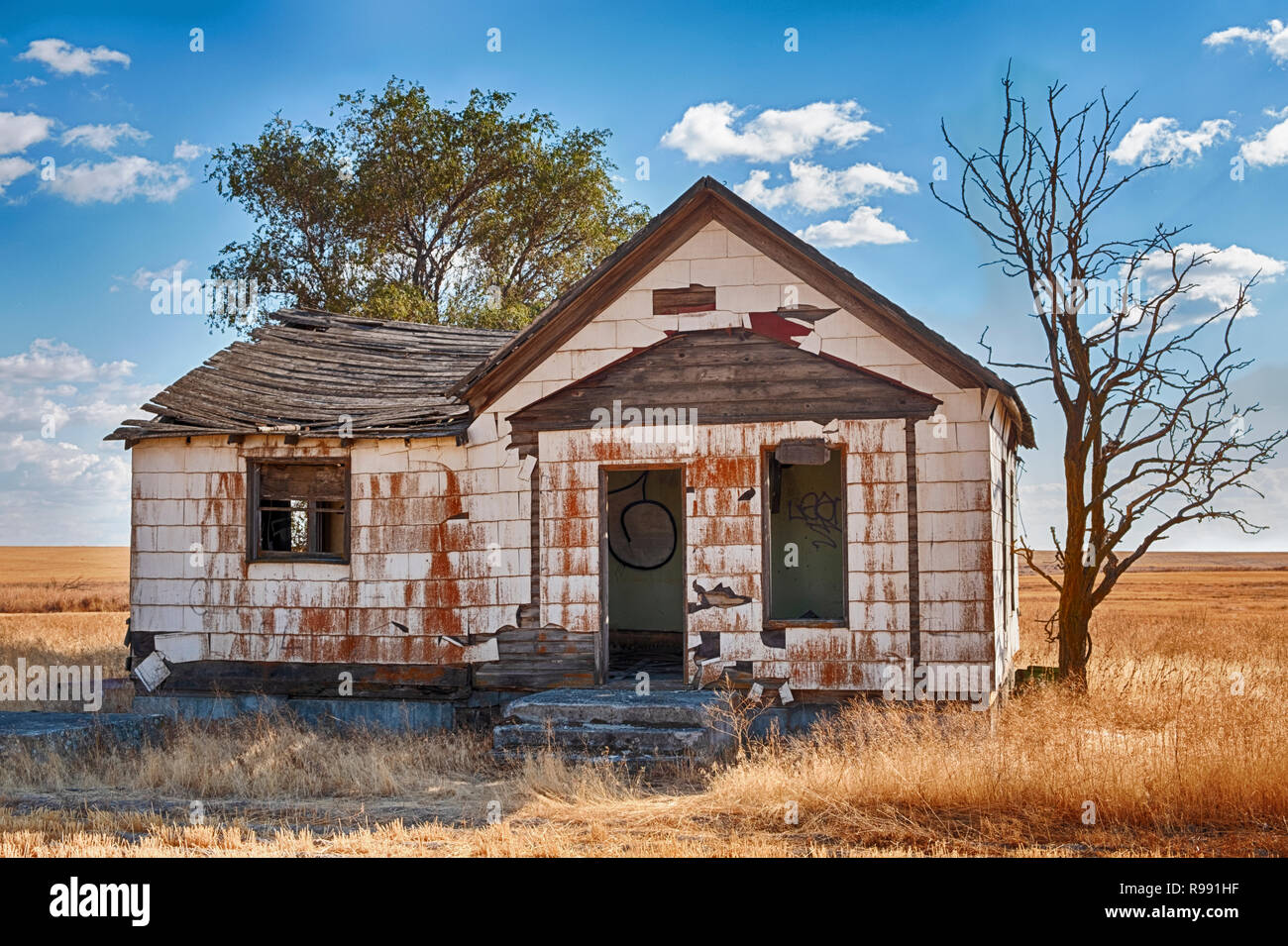 An old farmhouse is falling into disrepair amid the wheat fields of ...