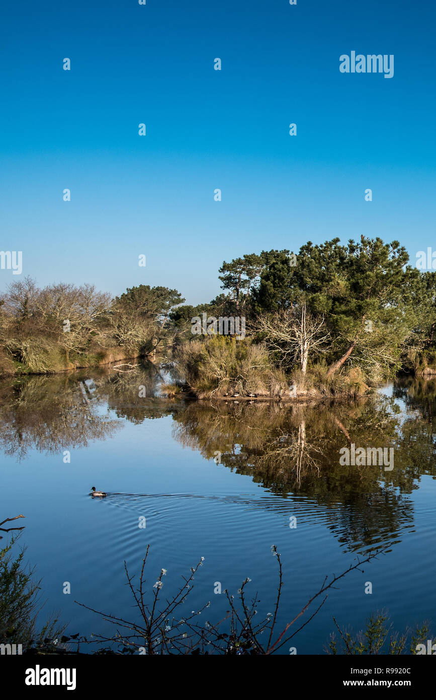Nature ares hi-res stock photography and images - Alamy