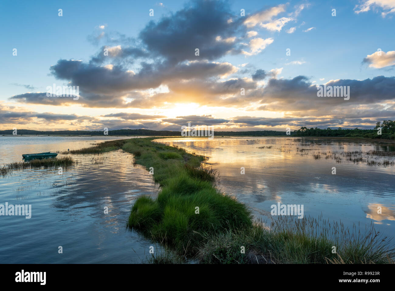 Atlantic salt meadows hi-res stock photography and images - Alamy