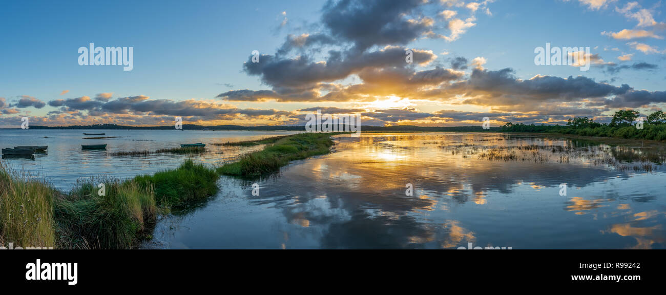 Atlantic salt meadows hi-res stock photography and images - Alamy