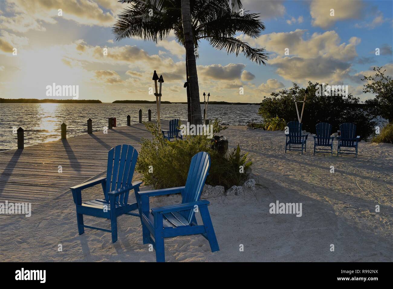 Florida Keys beach side view Stock Photo - Alamy