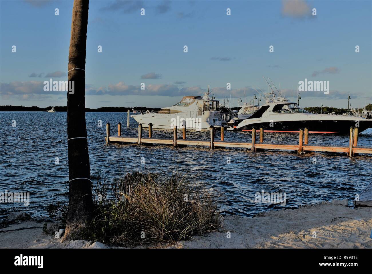Oceanside beach boat view in the Florida Keys Stock Photo - Alamy
