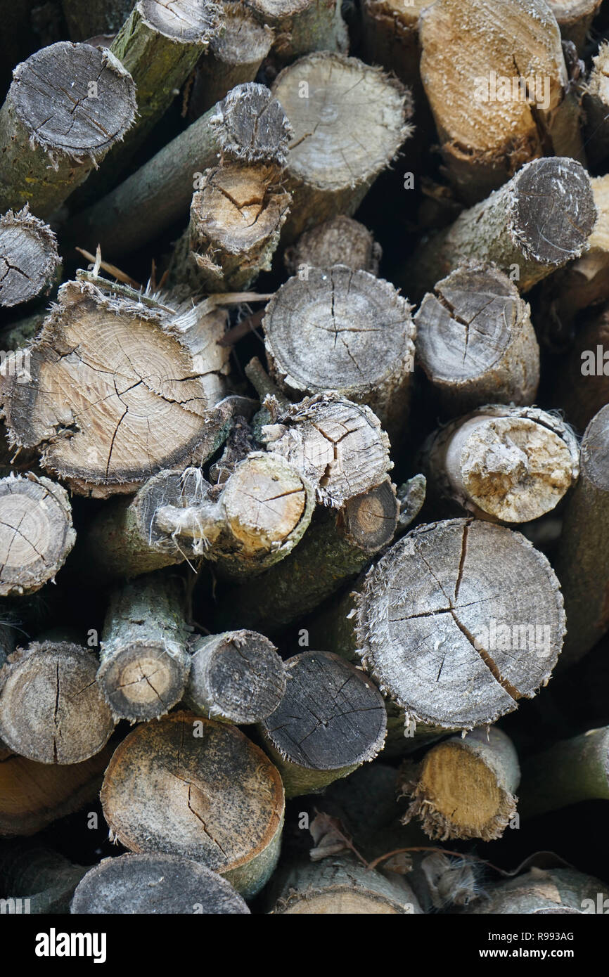 Stacks of firewood logs Stock Photo - Alamy