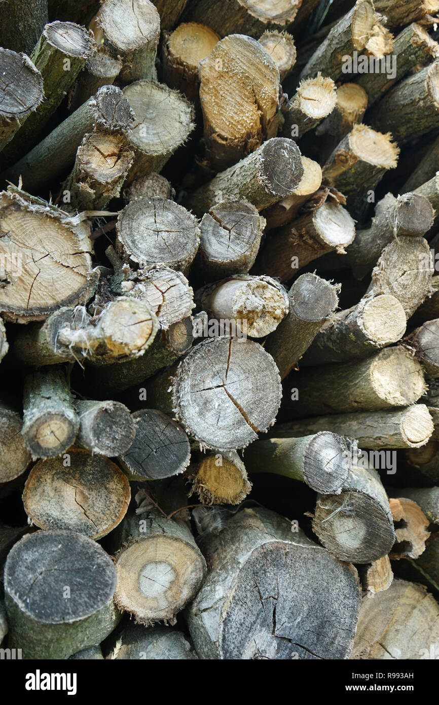 Stacks of firewood logs Stock Photo - Alamy