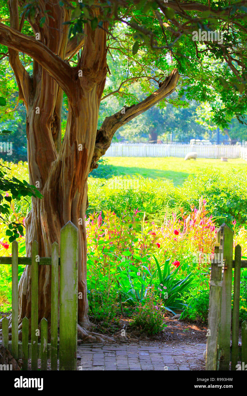 Colorful flowers seen through an old garden gate Stock Photo - Alamy