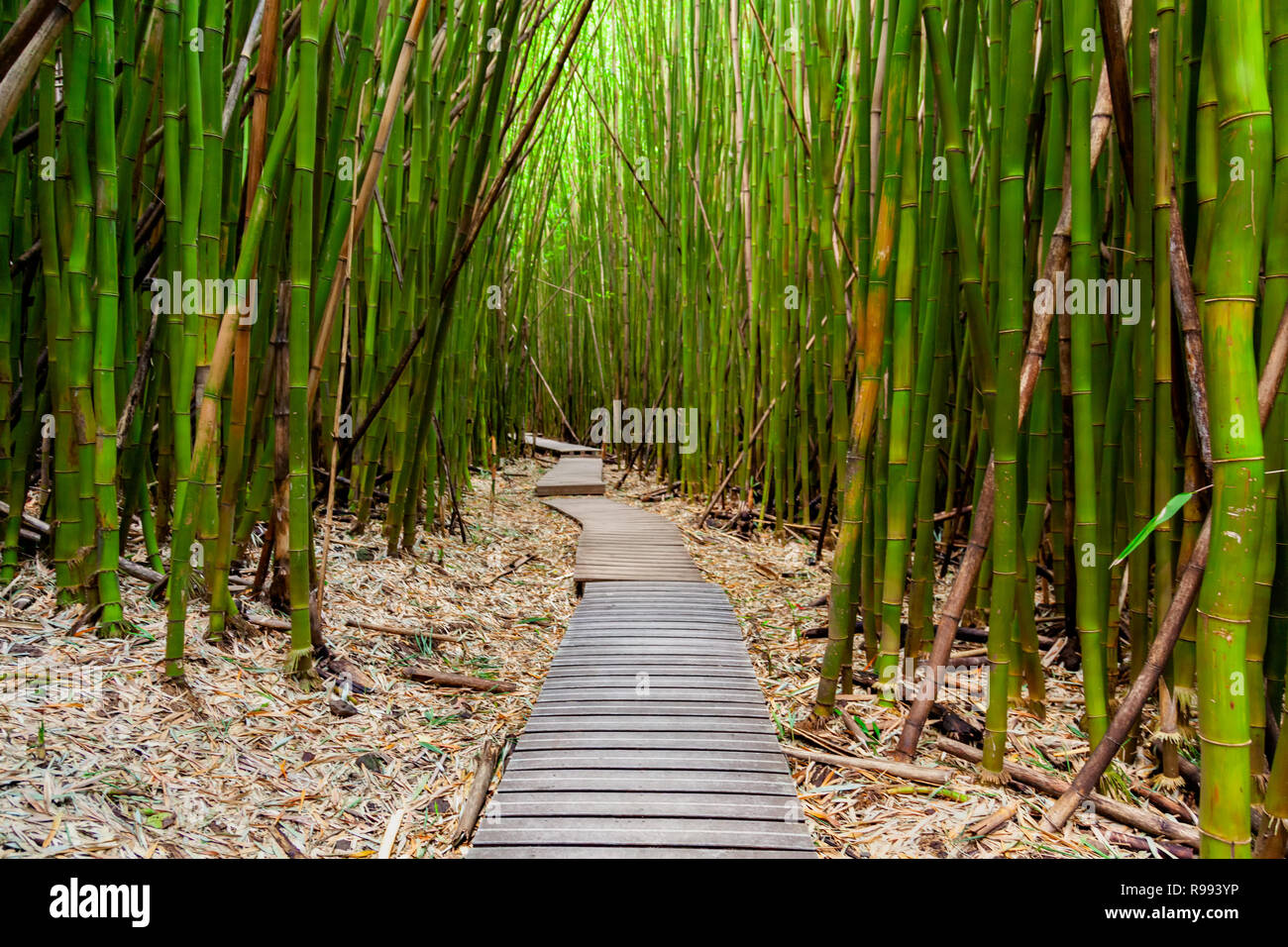 Maui hana seven sacred pools hi-res stock photography and images - Alamy