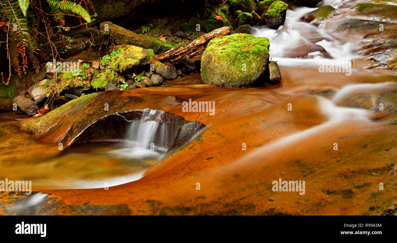 Waterfall cascade rainforest lush hi-res stock photography and images ...