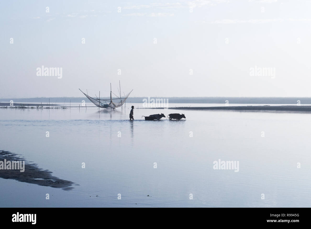 District of assam hi-res stock photography and images - Alamy