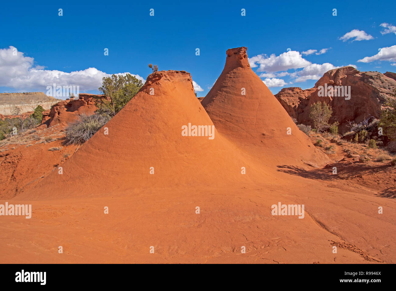 Weathered Funnels in the Desert in Kodachrome Basin State Park in utah ...
