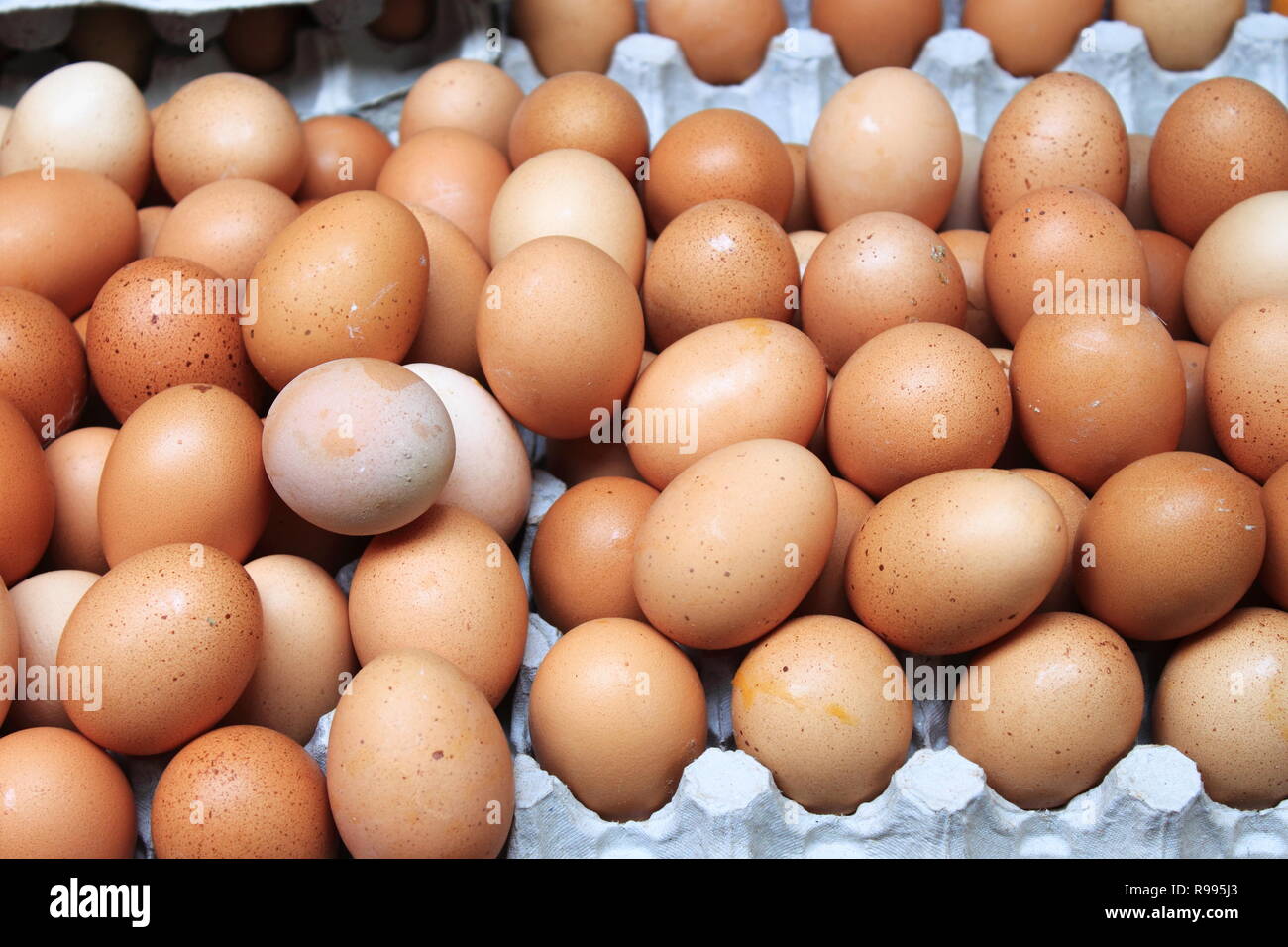 Many brown eggs in carton tray Stock Photo - Alamy