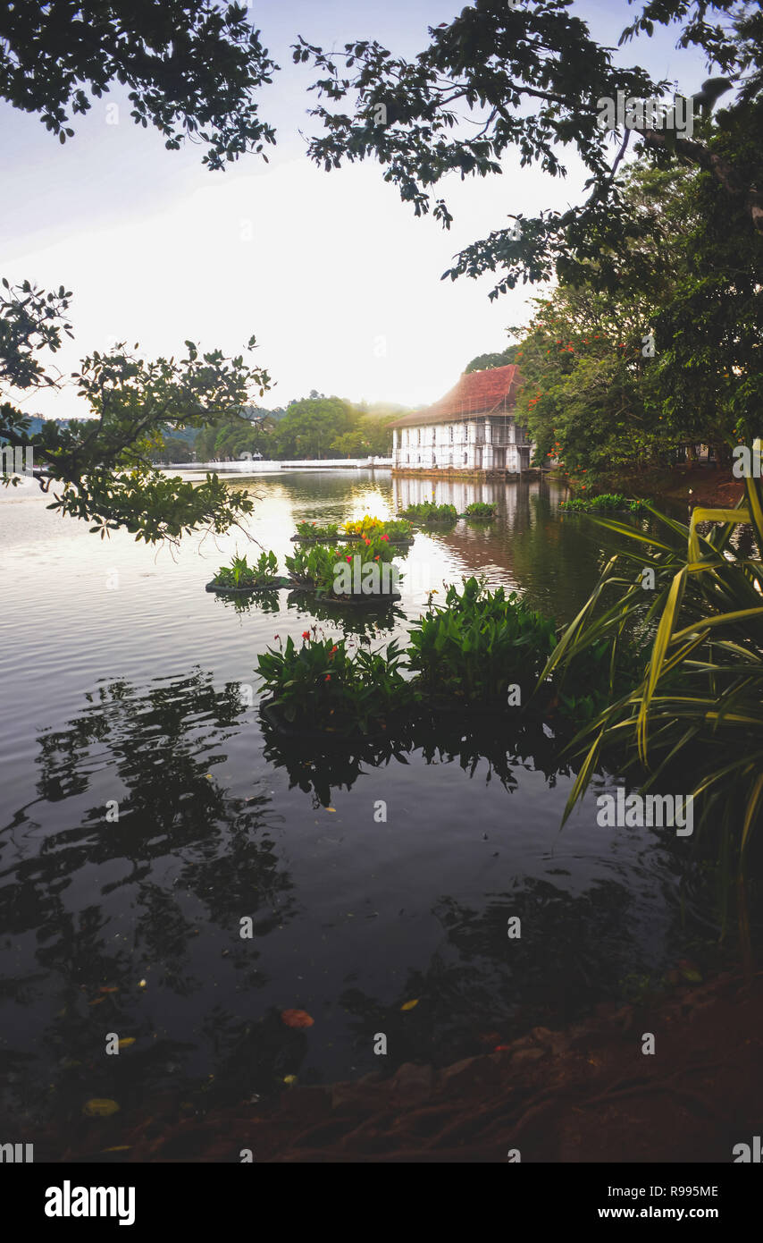 Kandy Lake, also known as Kiri Muhuda or the Sea of Milk, is an ...