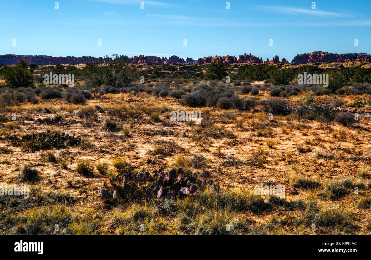 The Needles, Canyonlands National Park, Moab, Utah USA Stock Photo - Alamy