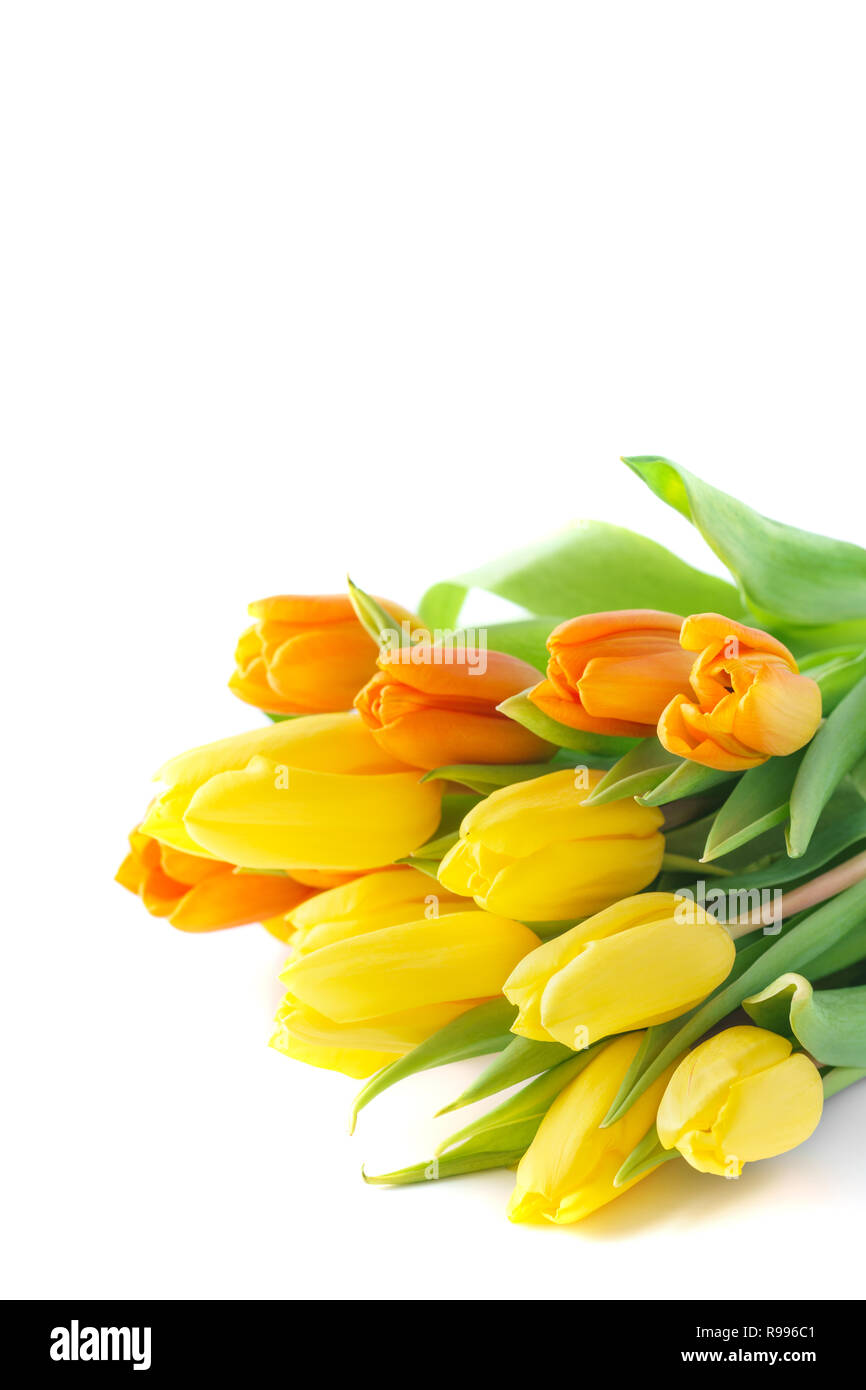 Bouquet of yellow and orange tulips isolated on white background Stock ...