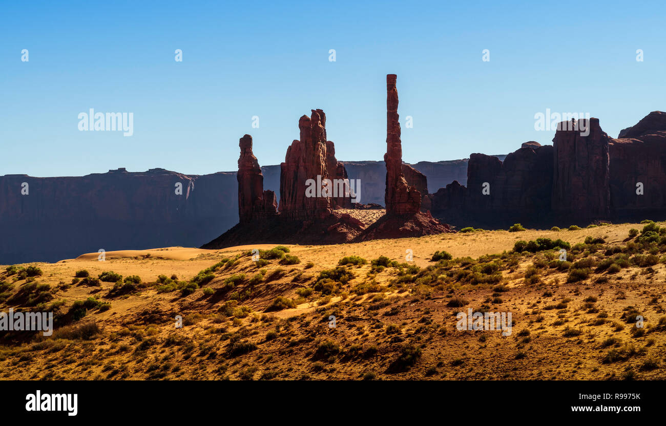 Tptem pole hi-res stock photography and images - Alamy
