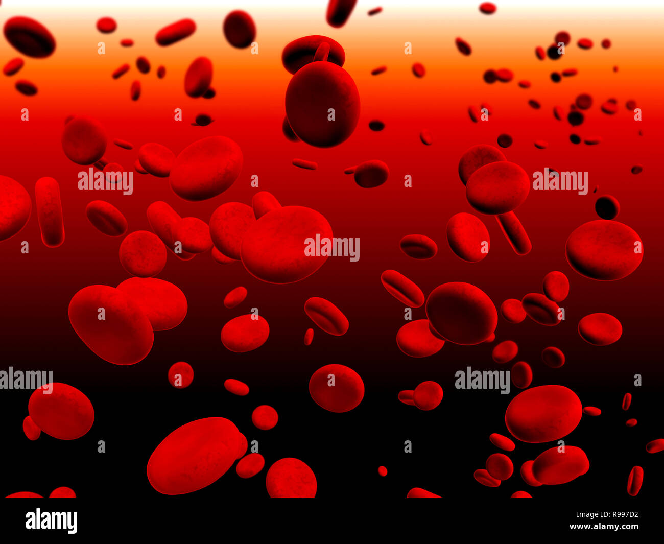Blood. Many red erythrocytes, floating on an artery Stock Photo - Alamy
