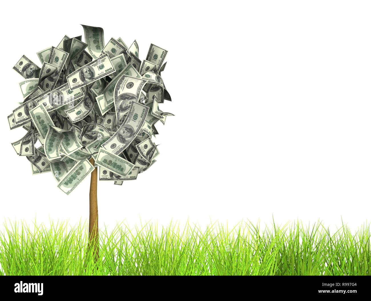 Money tree. Isolated over white Stock Photo - Alamy