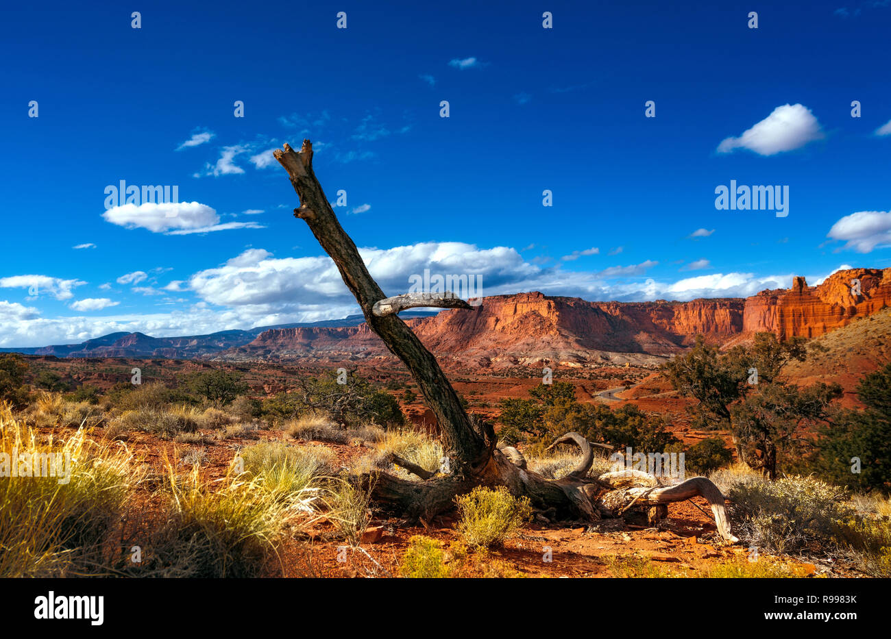 Capitol Reef National Park, Torrey, Utah USA Stock Photo - Alamy