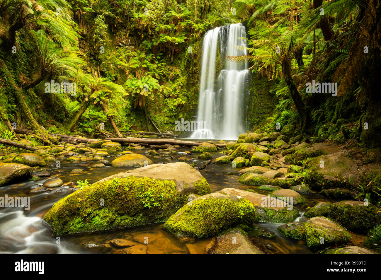Picturesque Beauchamp Falls in the Otway Ranges Stock Photo - Alamy