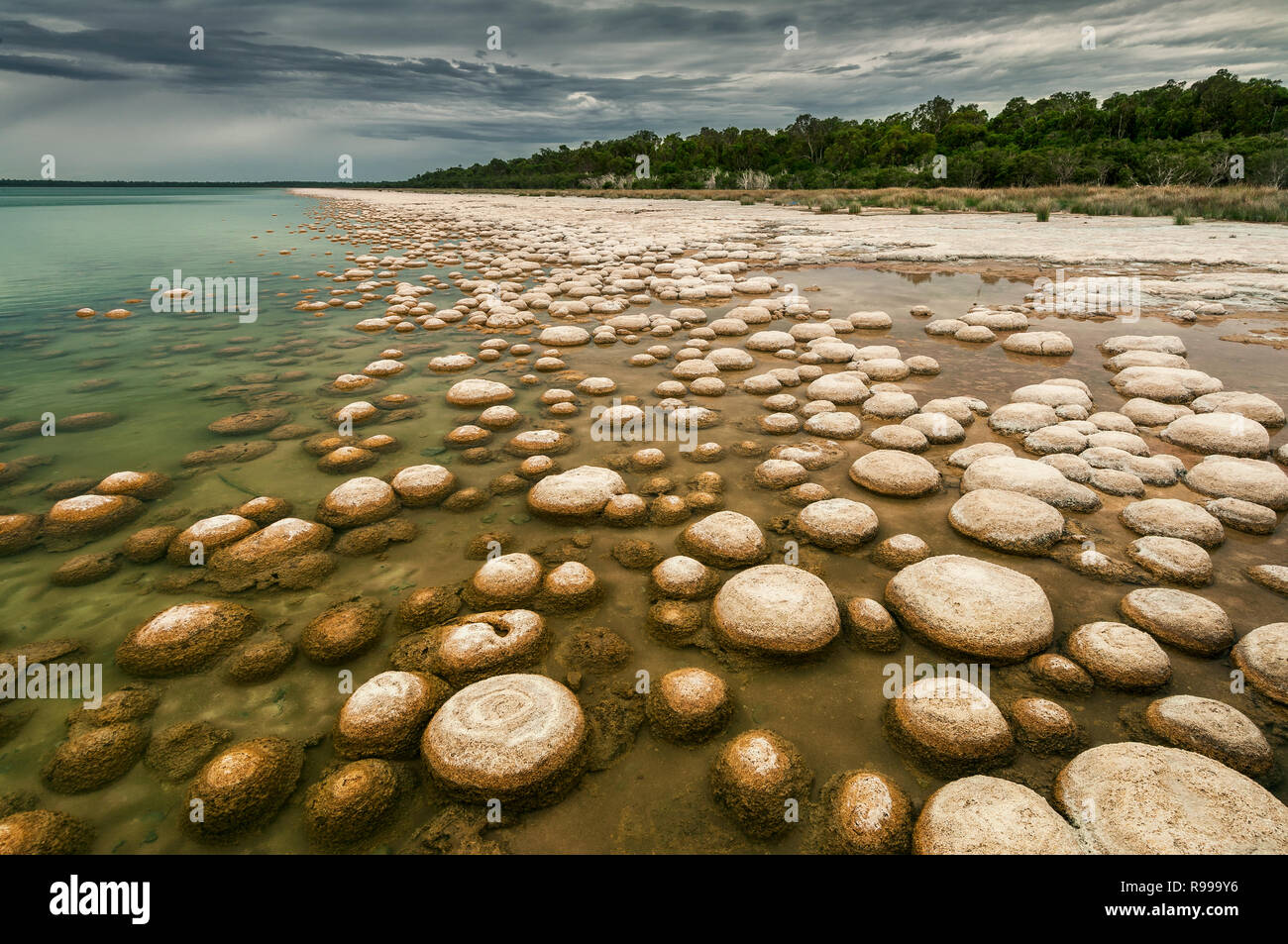 Thrombolites lake clifton hi-res stock photography and images - Alamy