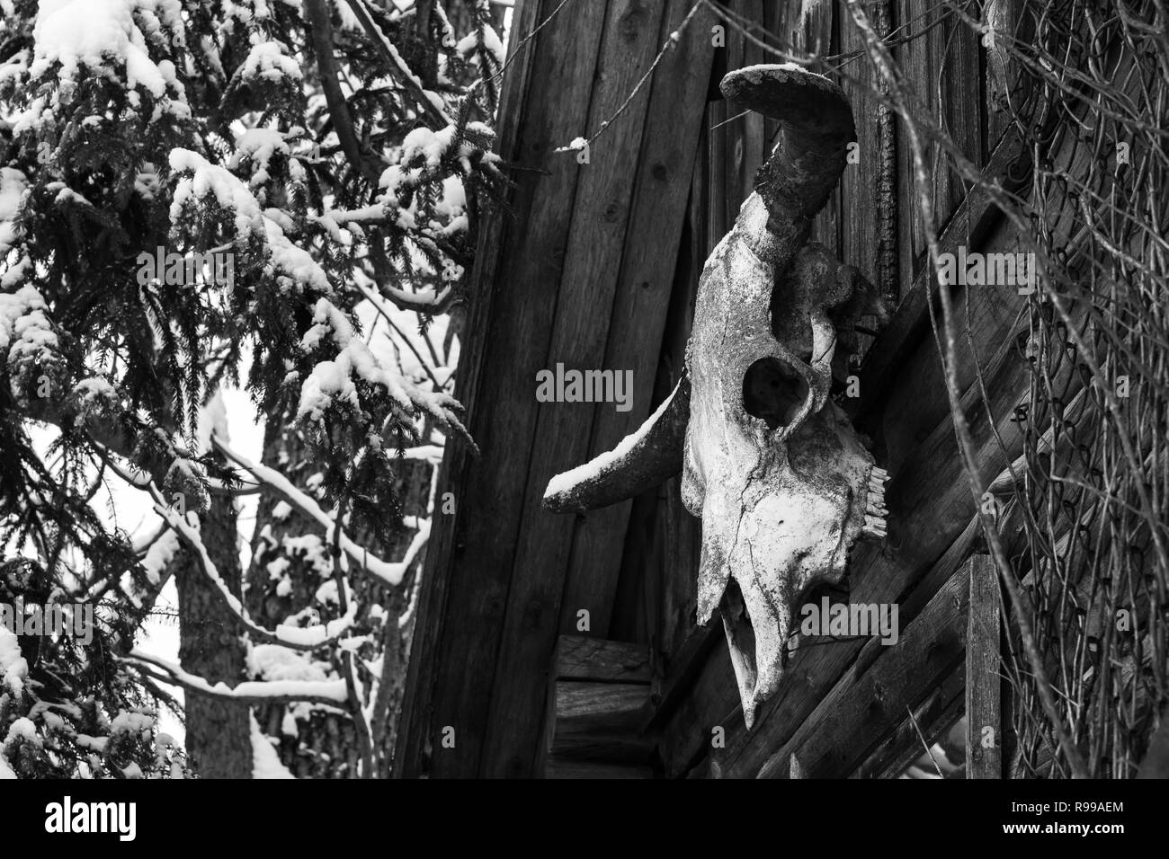 Wooden forest house on Black and White Stock Photos & Images - Alamy