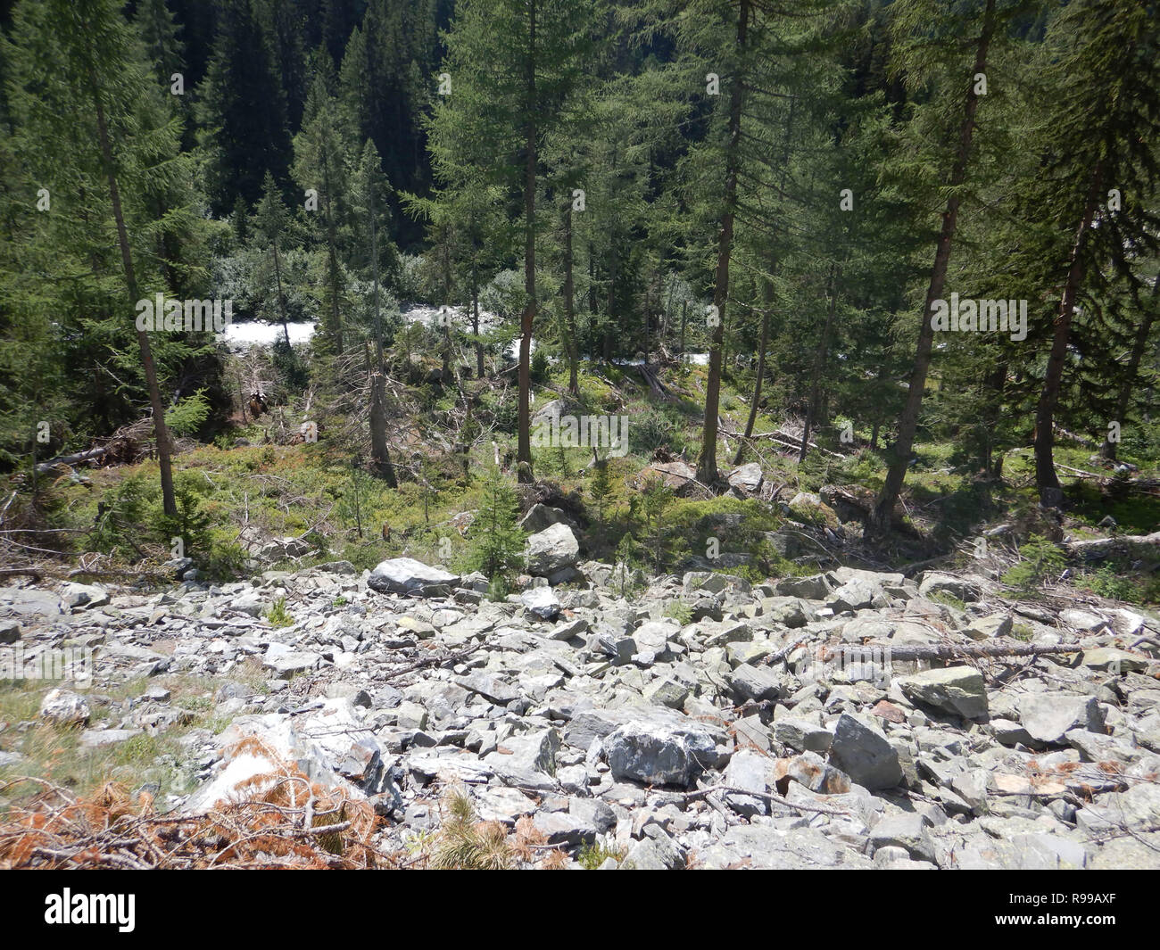 Effects of an avalanche in the mountains Stock Photo - Alamy
