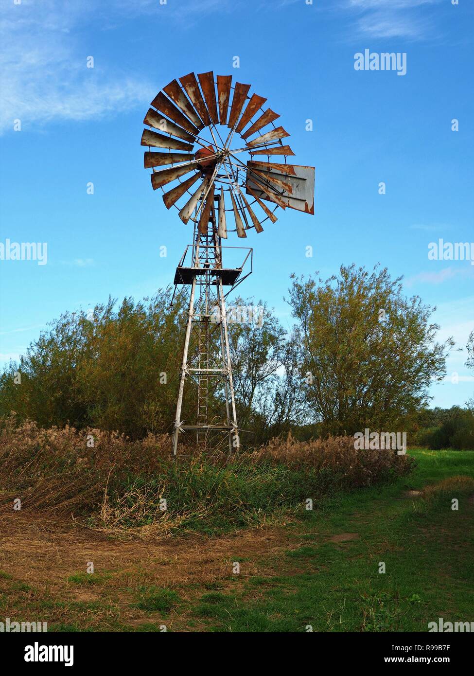 Wheldrake Ings High Resolution Stock Photography and Images - Alamy