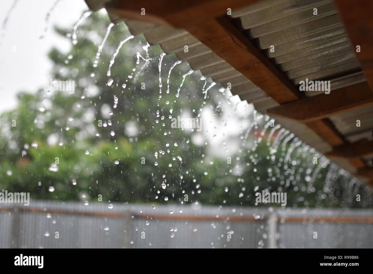 Fresh rainfall hi-res stock photography and images - Alamy
